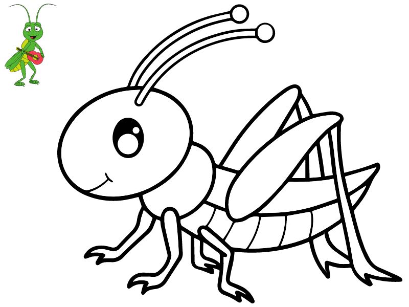 Planșe de colorat cu insecte - Cărți de povești